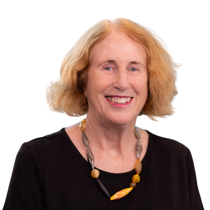 Prof Fran Baum | Healthy Cities Australia